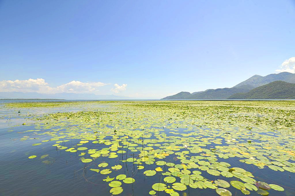 Lake Shkodër - Nomads Travel Guide