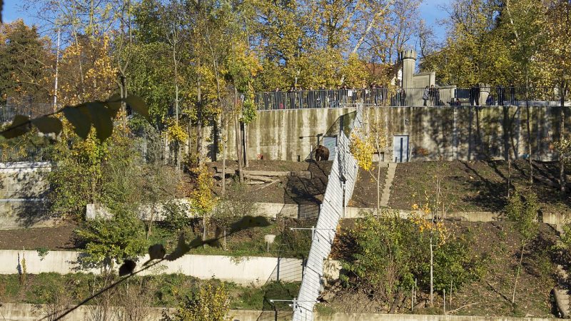 Bern: The Complete Guide