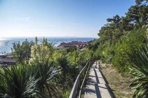 Arcachon: A Complete Guide to France’s Atlantic Seaside Resort