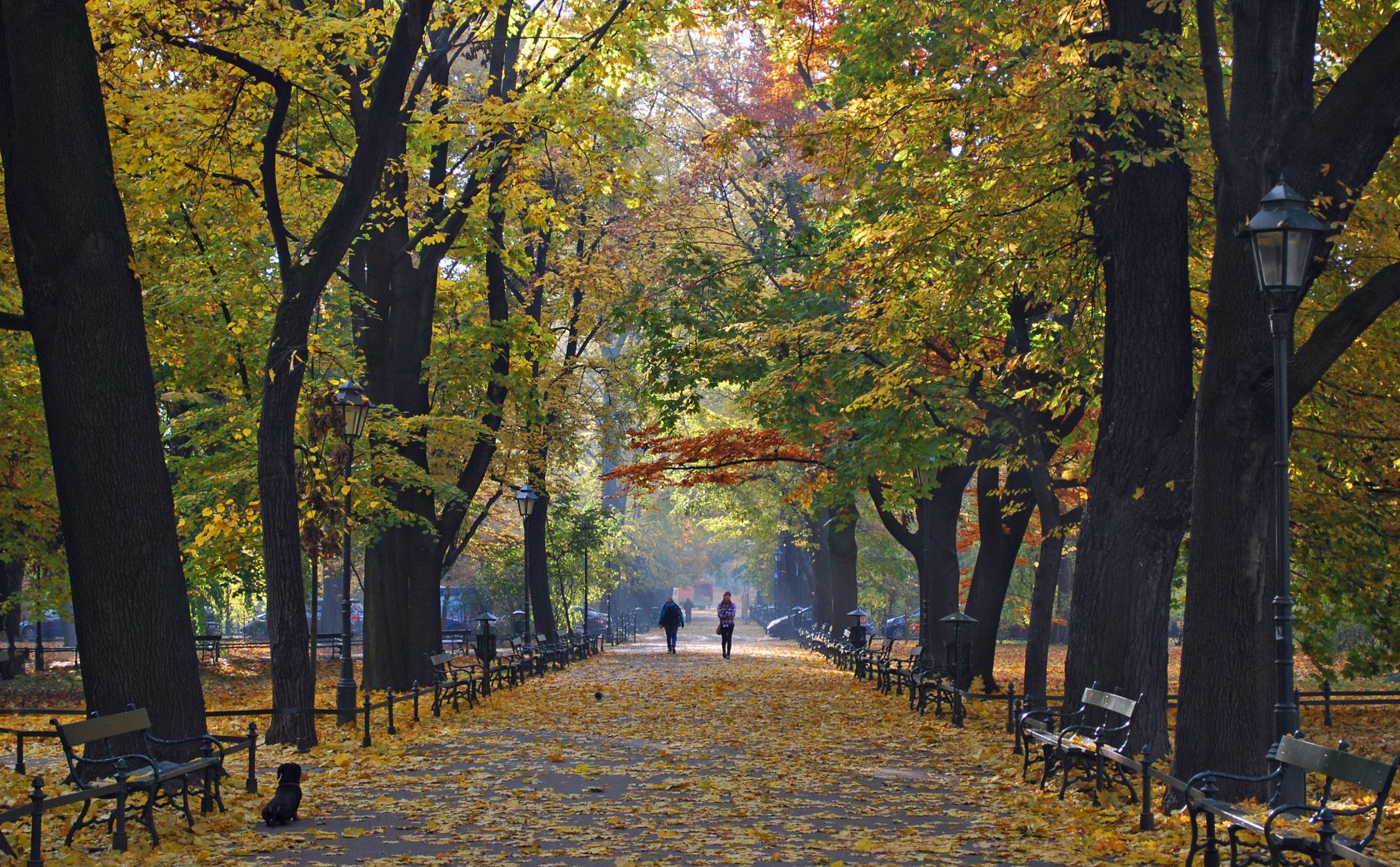 Kraków, Poland: The Complete Guide to Castles, Old Town & Cultural Heritage