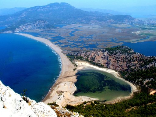 Dalyan Turtle Beach, Dalyan, Türkiye (2026): Where Nature Meets the Sea