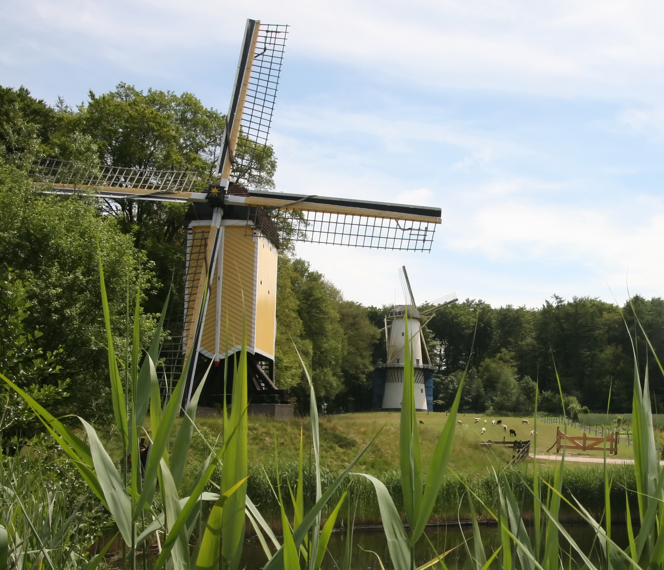 Het Fortuyn, Arnhem, Arnhem (2026): A working historic windmill inside ...