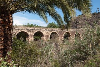 Jardín Botánico Canario Viera y Clavijo, Las Palmas de Gran Canaria ...