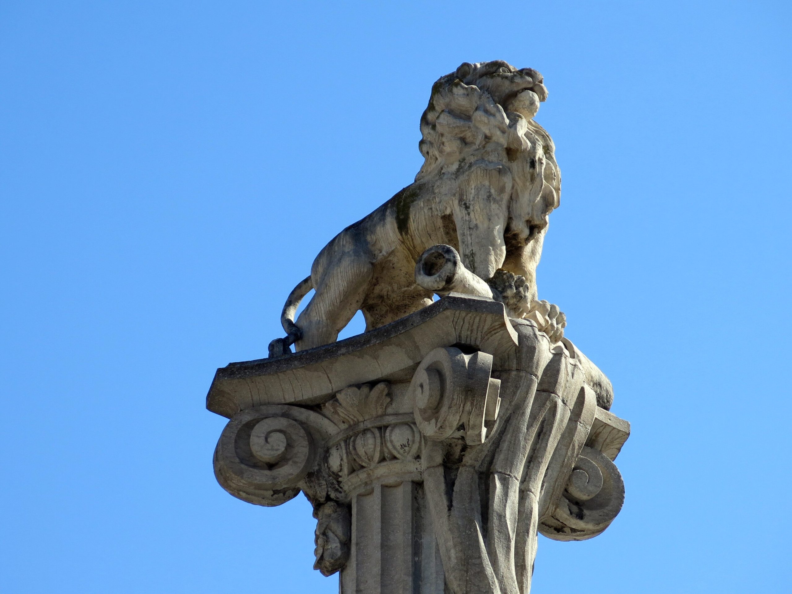 Monument del Lleó, Girona (2026): a quick stop honoring the city’s 1808 ...