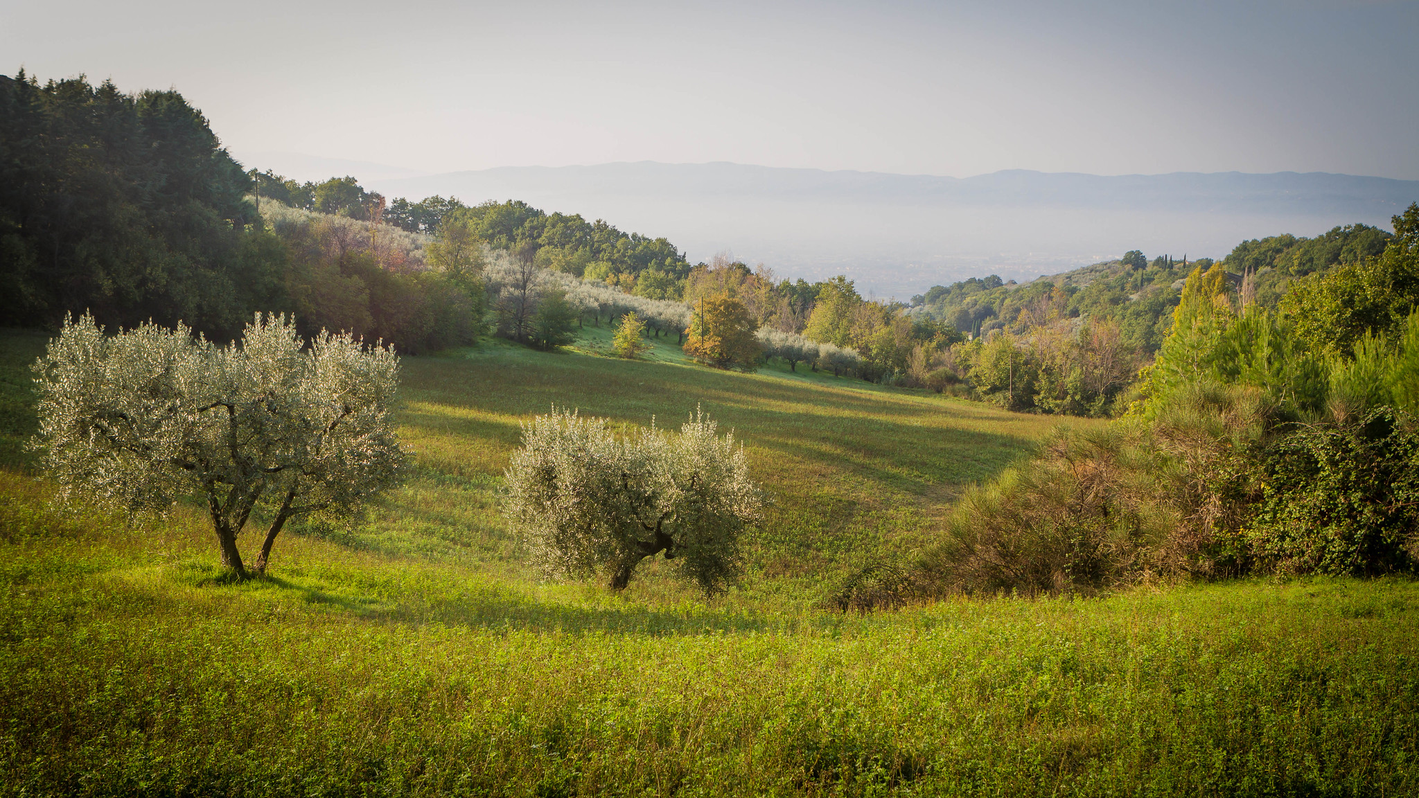 Parco del Monte Subasio, Assisi (2026): Umbrian Trails, Olive Groves ...