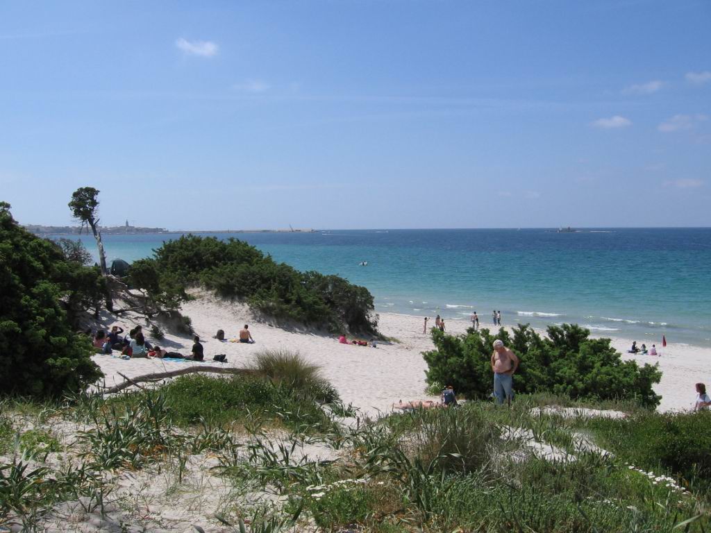 Spiaggia di Maria Pia, Alghero (2026): Pine-backed sands and calm ...